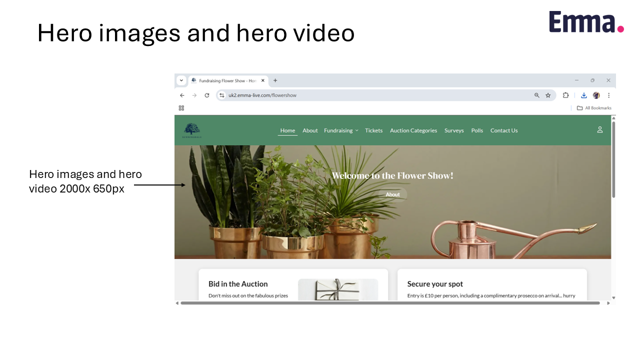 Microsite design images sizes